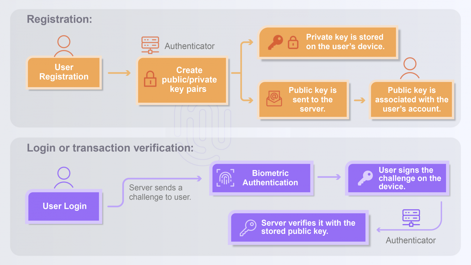 Going Passwordless: FIDO Authentication - Blog by Thinker